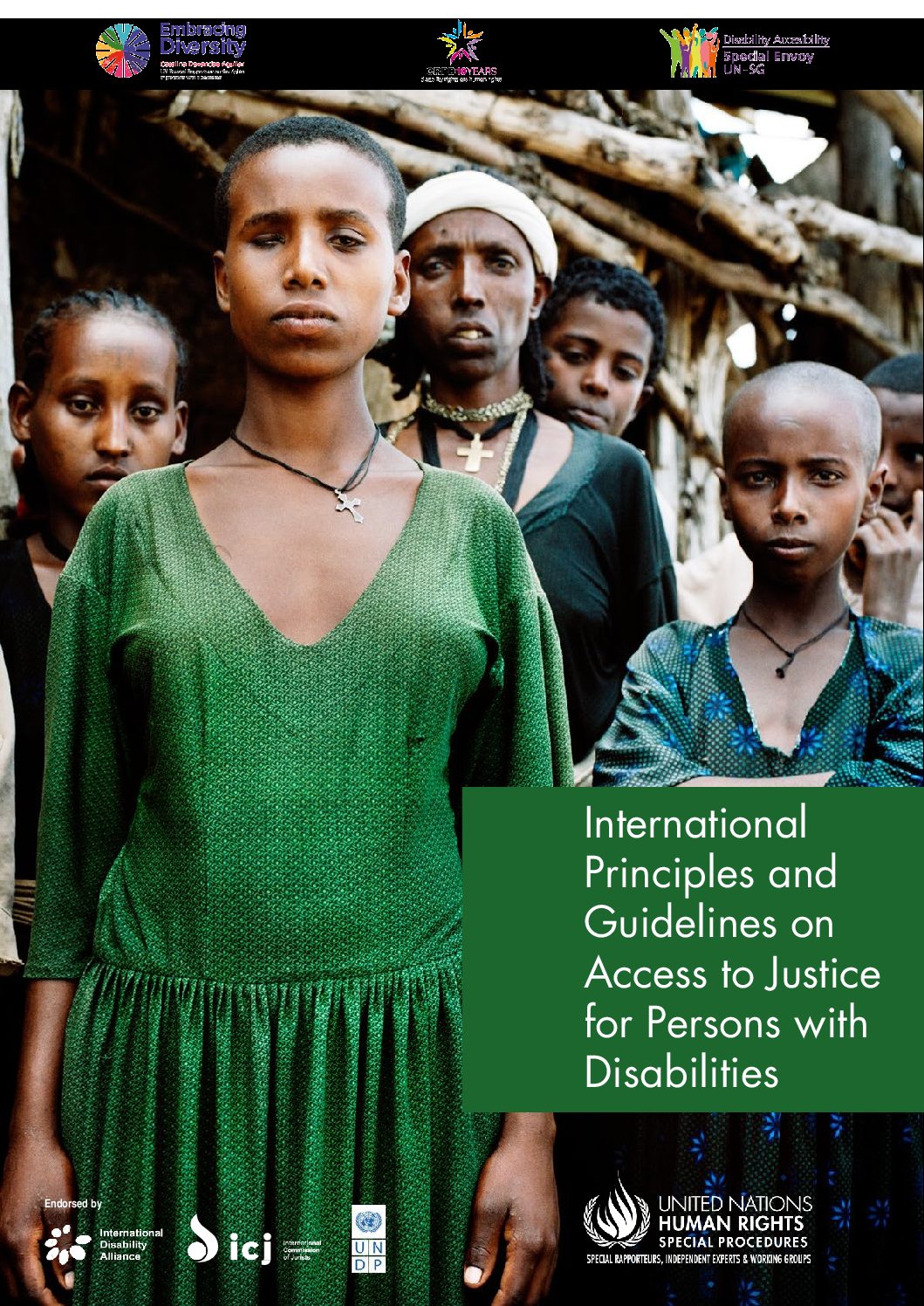 International Principles and Guidelines on Access to Justice for ...